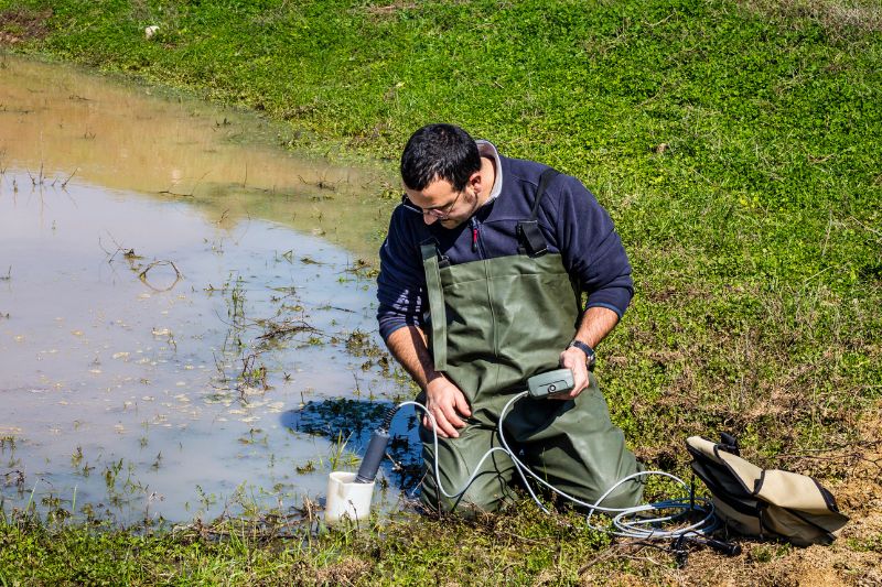 Importance and Components of Environmental Science and Top 5 ...