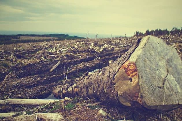 Causes, Effects and Solutions to Environmental Degradation - Conserve ...