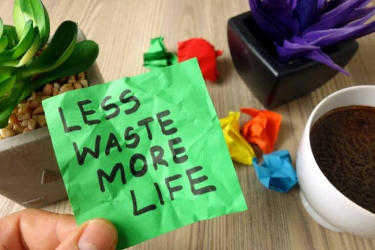 31+ Fabulous Ways to Protect Trees and Conserve Forests - Conserve ...