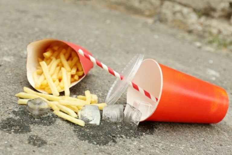 45 Prodigious Ways That Can Help You To Prevent Litter - Conserve ...