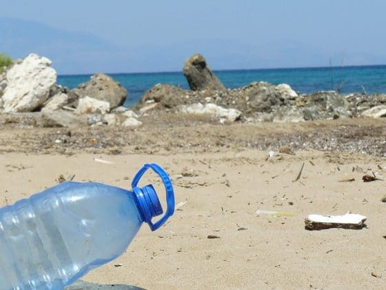 50 Intriguing Facts About Plastic Pollution That You Can't Afford to ...