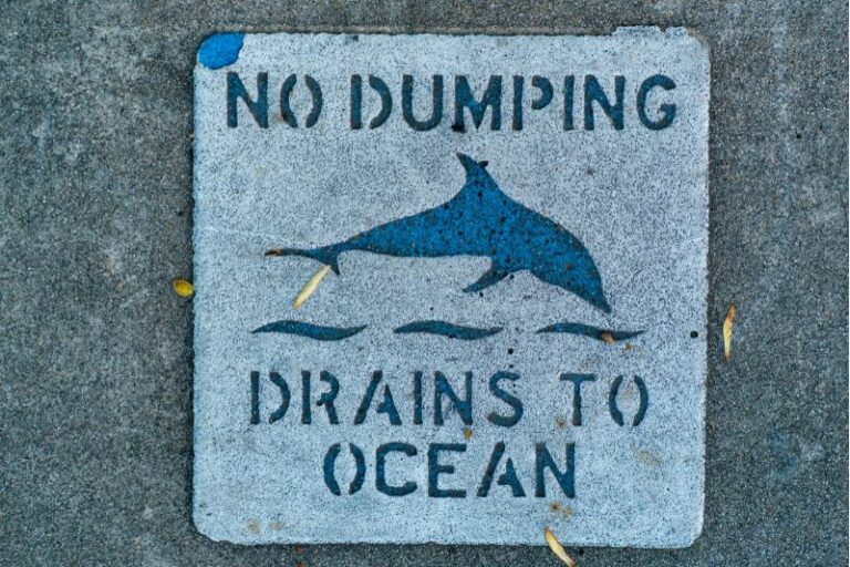 Causes, Effects and Solutions to Ocean Dumping - Conserve Energy Future