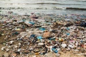 Causes, Problems, and Possible Solutions To Stop Littering - Conserve ...