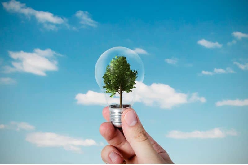 Green Consumerism: Importance, Examples and Strategies - Conserve ...