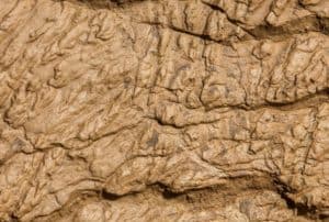 Sludge: Types, Uses, Objectives and Methods of Removing Sludge ...