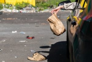 Is Throwing Food Out the Window Littering? - Conserve Energy Future
