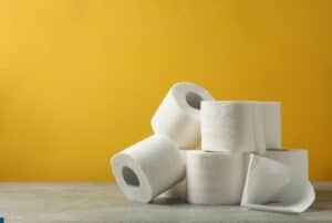 Is Toilet Paper Biodegradable? (And Compostable?) - Conserve Energy Future