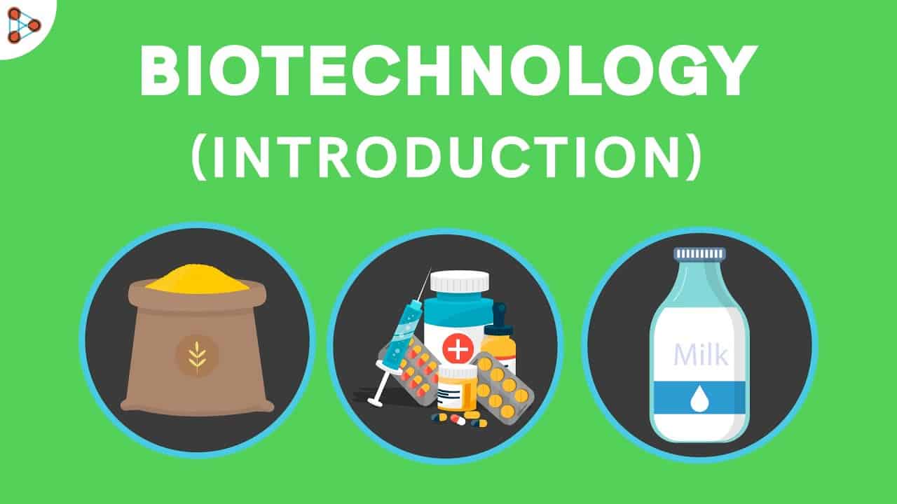 Examples Of Biotechnology Products