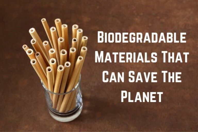 21 Biodegradable Materials That Will Save The Planet (+Pics) - Conserve ...