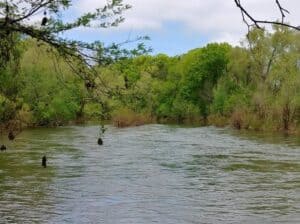 13 Most Polluted Rivers in the US (+Pics) - Conserve Energy Future