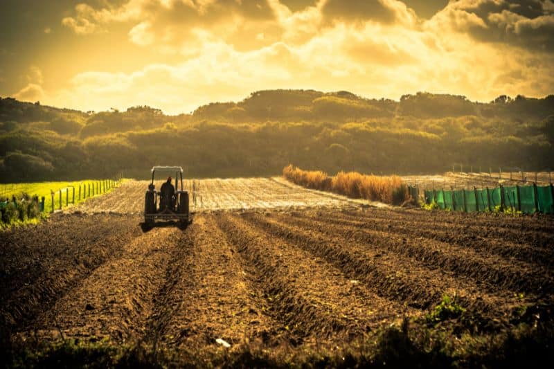 Advantages and Disadvantages of Agroforestry - Conserve Energy Future