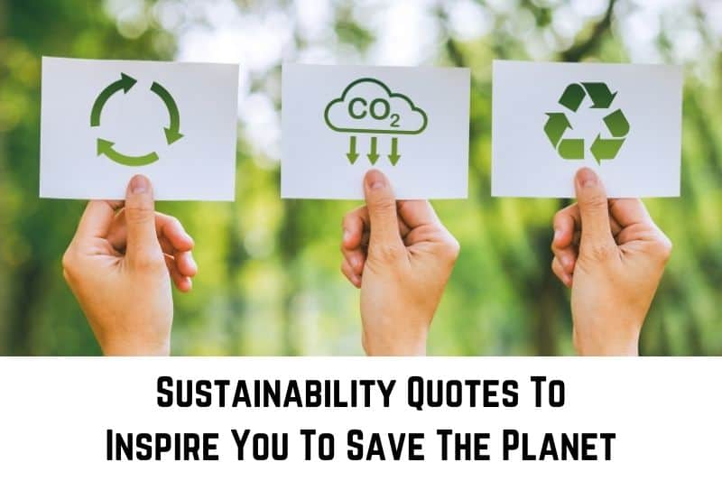 75 Inspiring Sustainability Quotes - Sayings About Saving The Planet ...